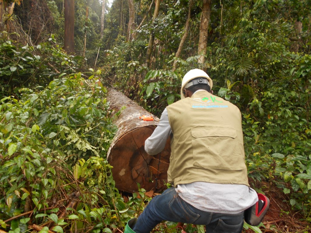 Notre organisation - FODER